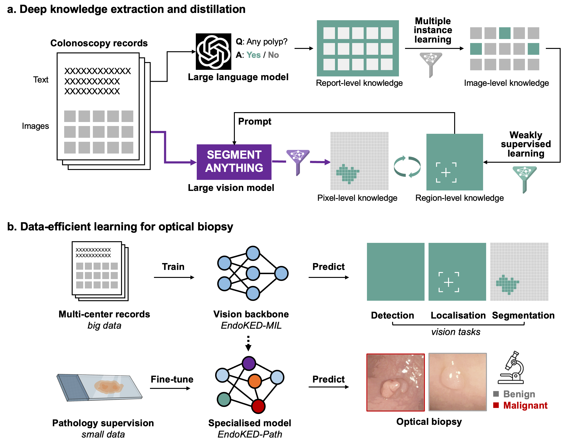 GitHub - shuowang26/EndoKED