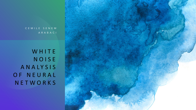 GitHub - phycem/White-Noise-Analysis-of-Convolutional-Neural-Networks--MNIST--Fashion-MNIST