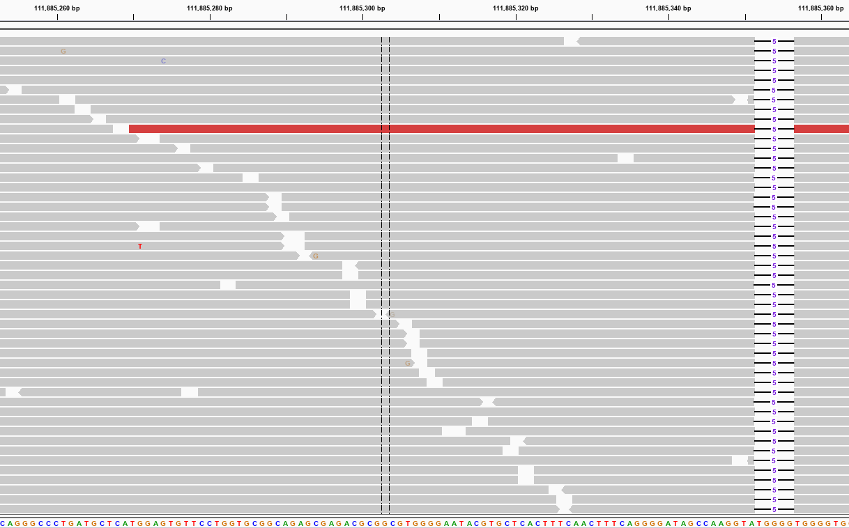 SV genotyping problem · Issue #218 · PapenfussLab/gridss · GitHub