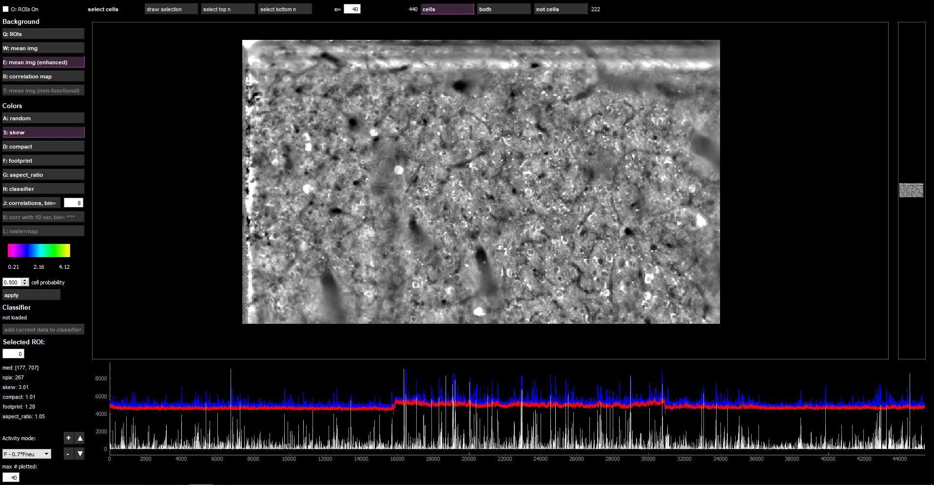 FOV getting clipped in enhanced mean image and in cell detection · Issue #125 · MouseLand ...