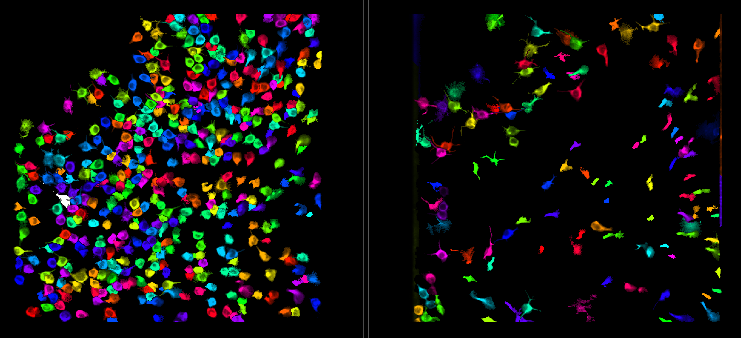 ROI results look strange with updated suite2p · Issue #728 · MouseLand ...