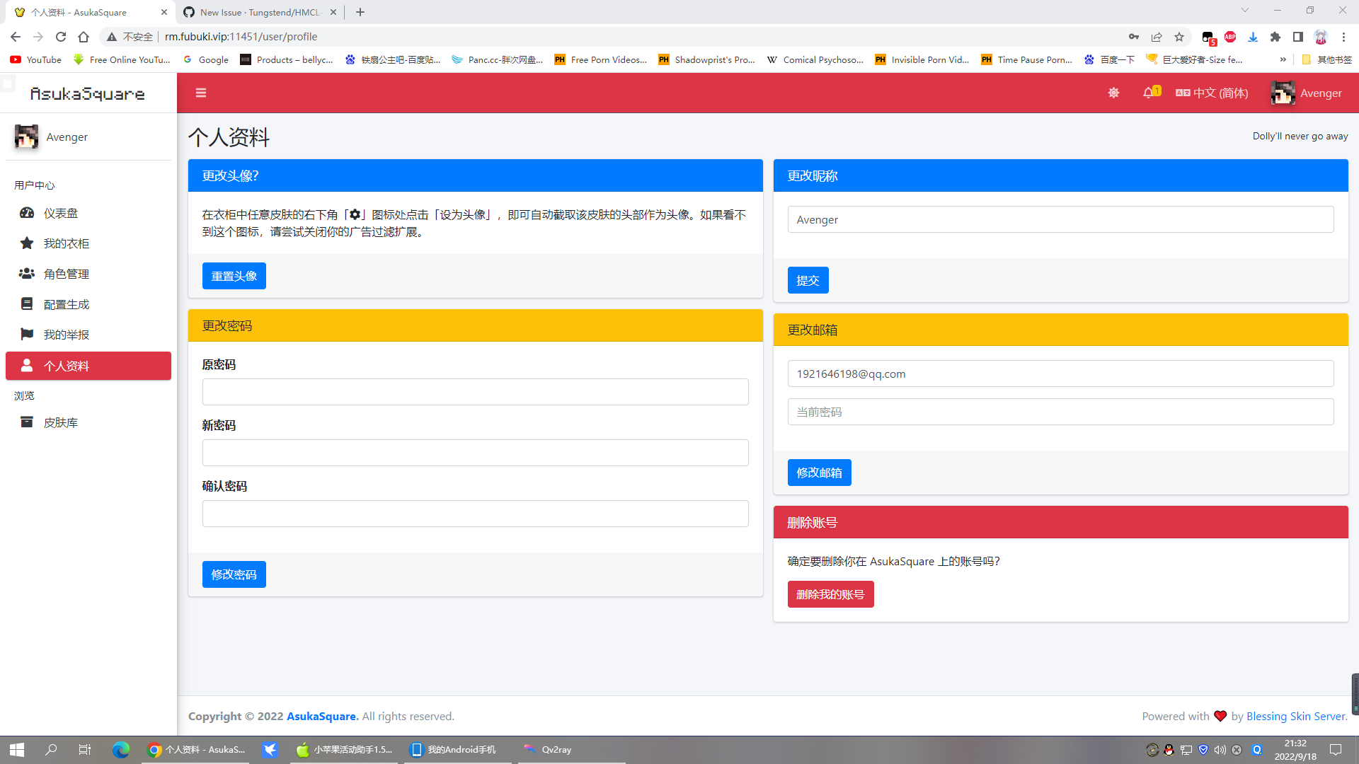 无法使用第三方皮肤站登录 · Issue #73 · HMCL-dev/HMCL-PE · GitHub
