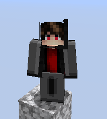 Nova broke ItemsAdder's Custom Armor · Issue #246 · xenondevs/Nova · GitHub