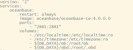 [Bug]: failed to start docker with -v arg · Issue #1289 · oceanbase/oceanbase · GitHub