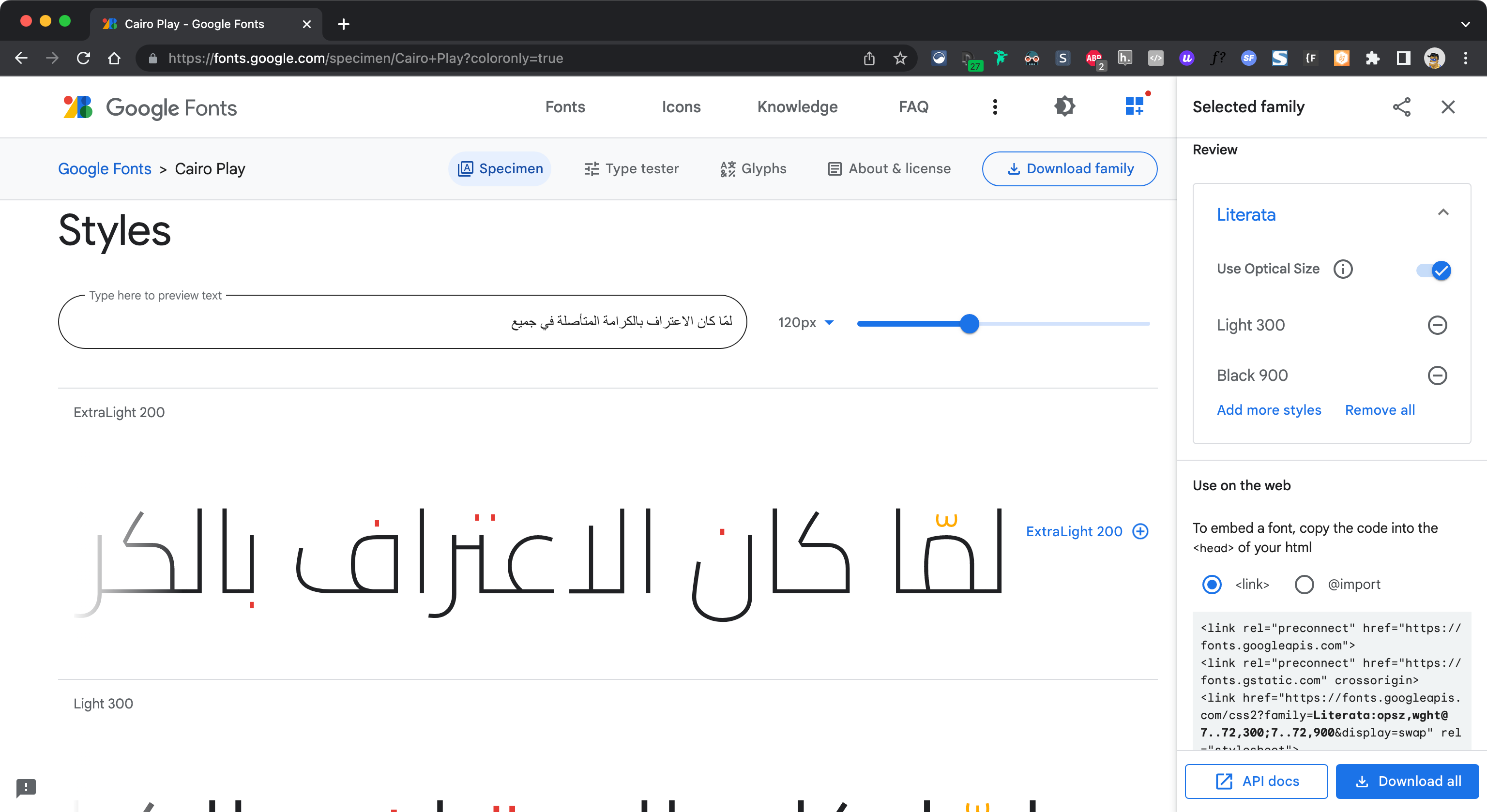 [web] Slanted styles shown on https://fonts.google.com/specimen/Cairo ...