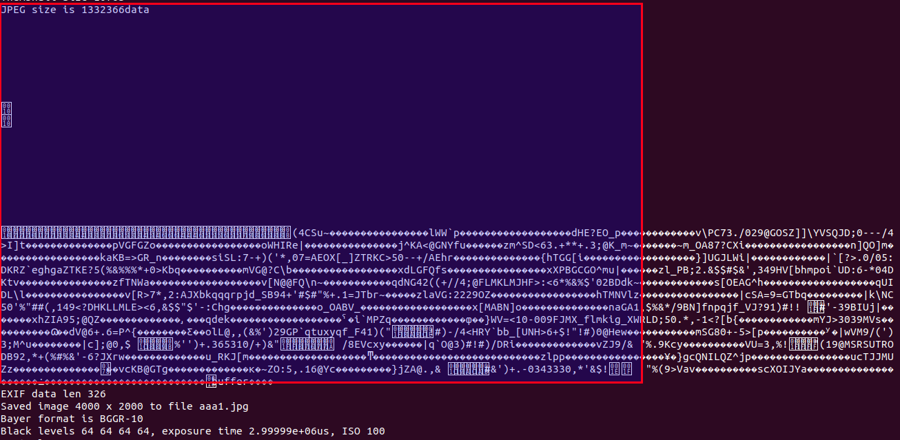 No frame data was collected. · Issue #495 · raspberrypi/rpicam-apps · GitHub