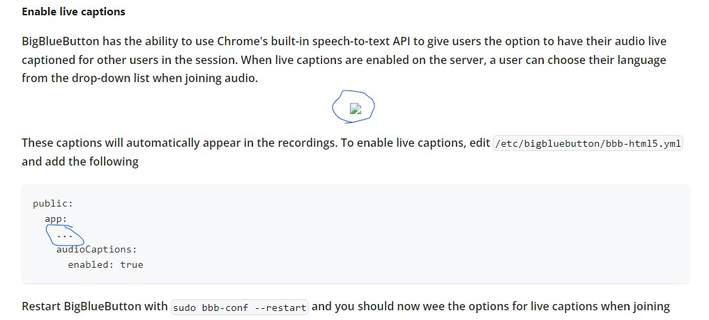 Live caption docs. · Issue #17785 · bigbluebutton/bigbluebutton · GitHub