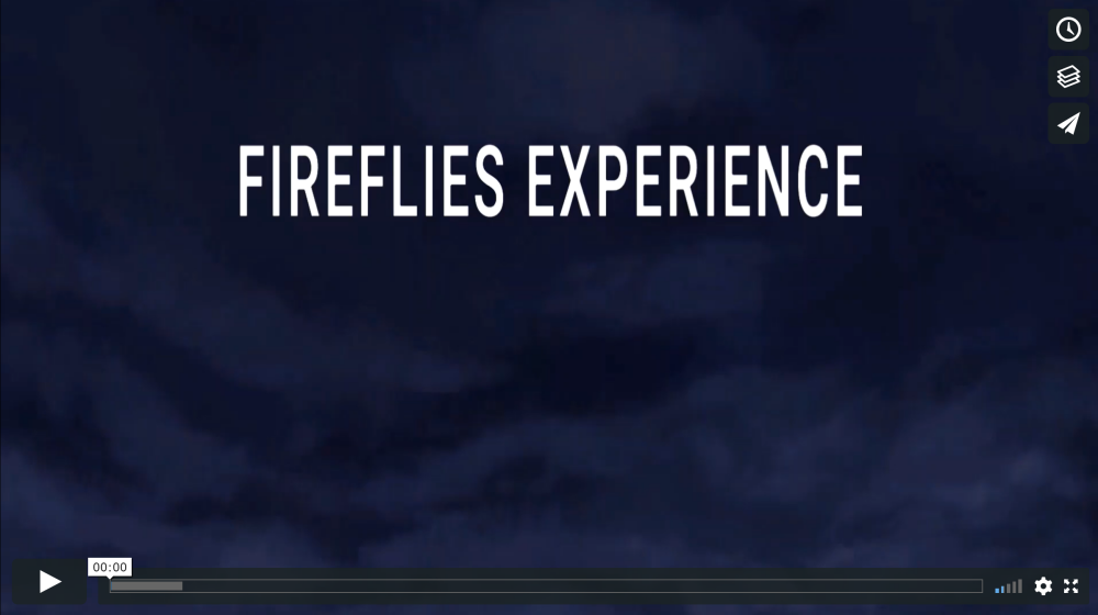 GitHub - alexmusial/Fireflies-experience