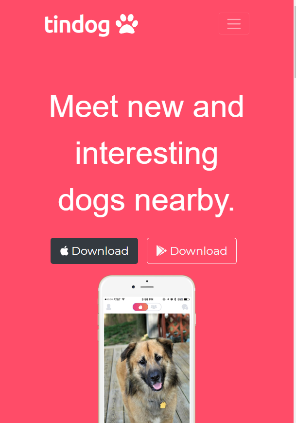 GitHub - dylanbuchi/dog: TinderDog Project website