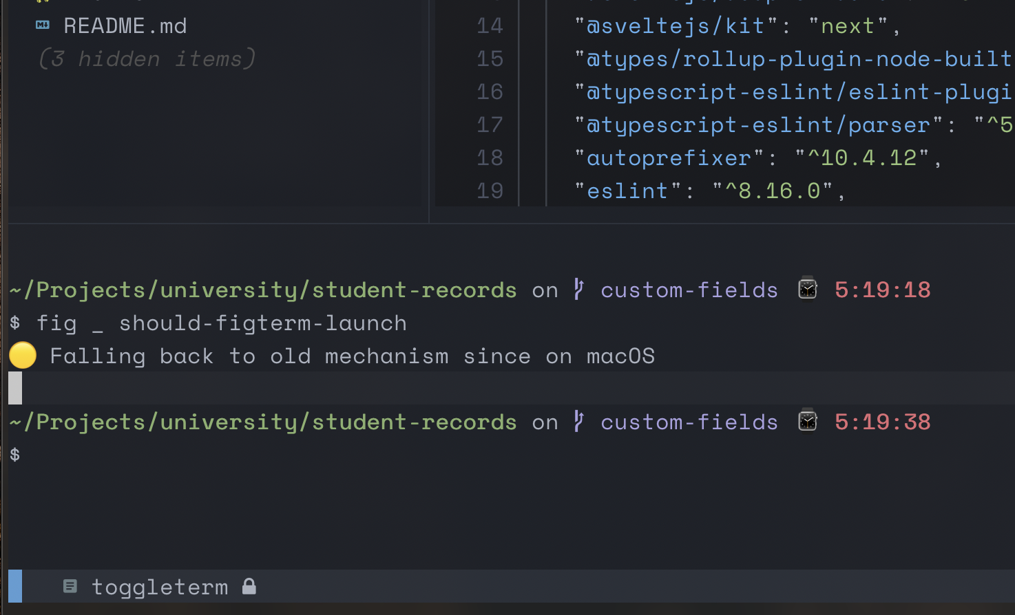 Unable to use fig with neovim toggleterm plugin · Issue #2380 · withfig/fig · GitHub
