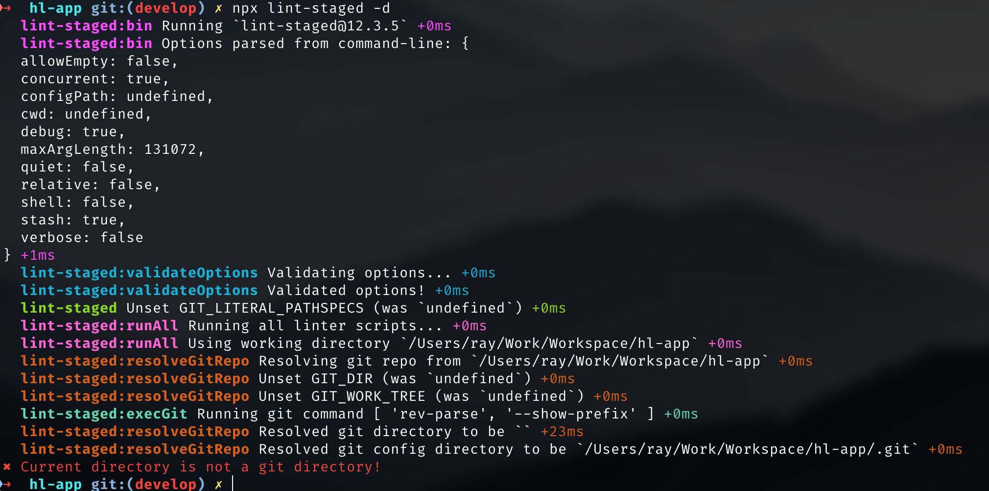 Current Directory Is Not A Git Directory · Issue 1112 · Lint Stagedlint Staged · Github