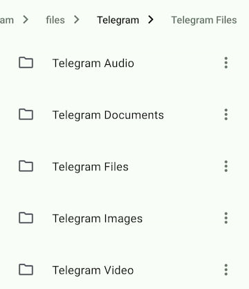 Store automatically downloaded media/documents in auto-clearerable folder by default · Issue ...