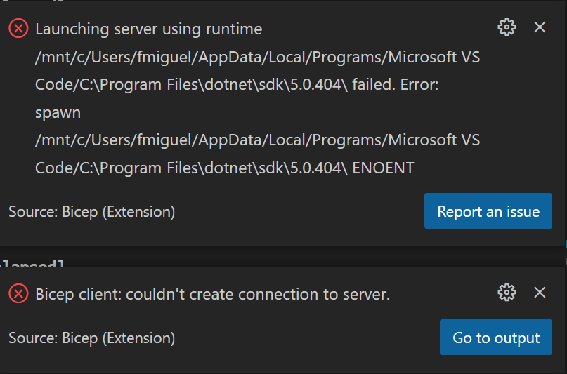 Bicep extension not working on WSL · Issue #8889 · Azure/bicep · GitHub