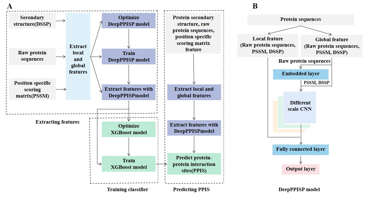 GitHub - fatancy2580/DeepPPISPXGB-master: Prediction of protein protein ...