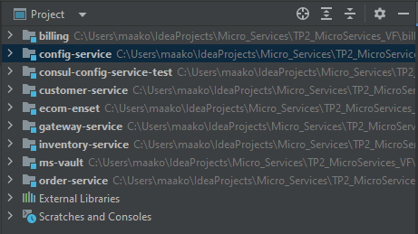GitHub - Aminamkl/TP2_MicroServices_VF