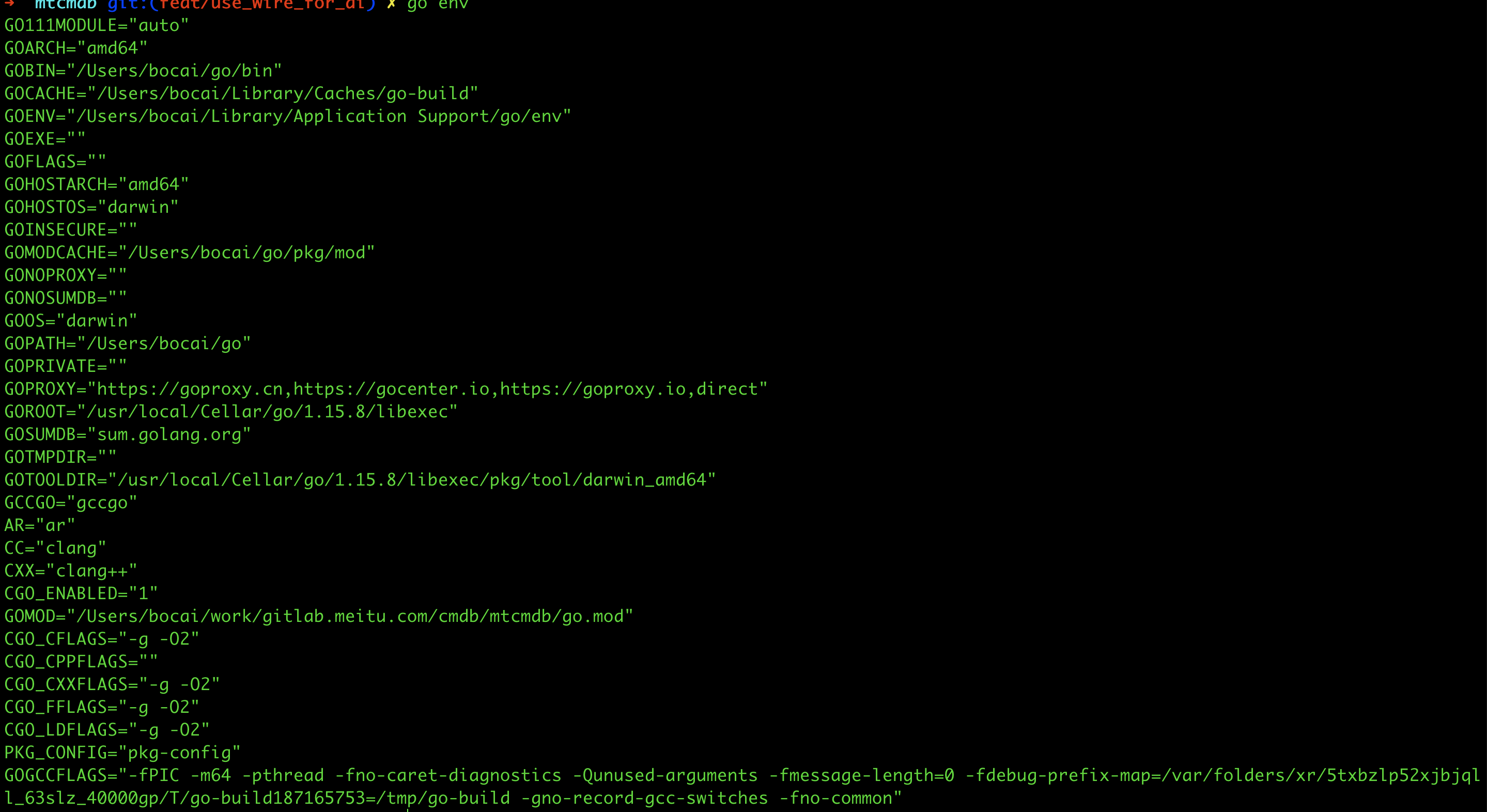 go build tags in launch.json is invalid · Issue #1286 · golang/vscode-go · GitHub