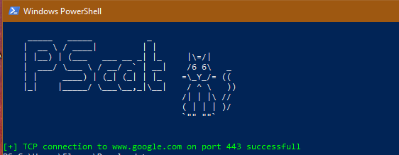 GitHub - JeSappelleRoot/PScat: Testing TCP and UDP ports in PowerShell