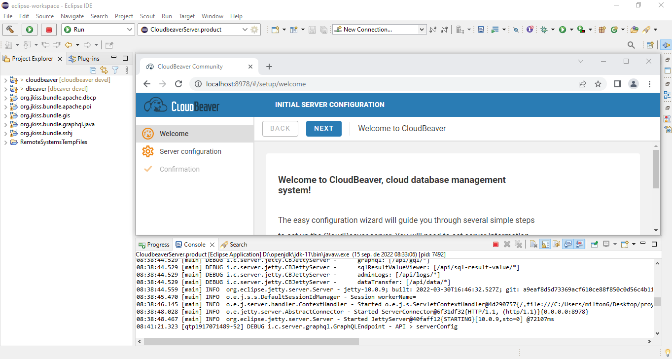 Development tools CloudBeaver · Issue #1155 · dbeaver/cloudbeaver · GitHub