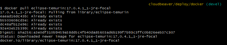 Generate and create a new docker image with new changes made in cloudbeaver · Issue #1277 ...