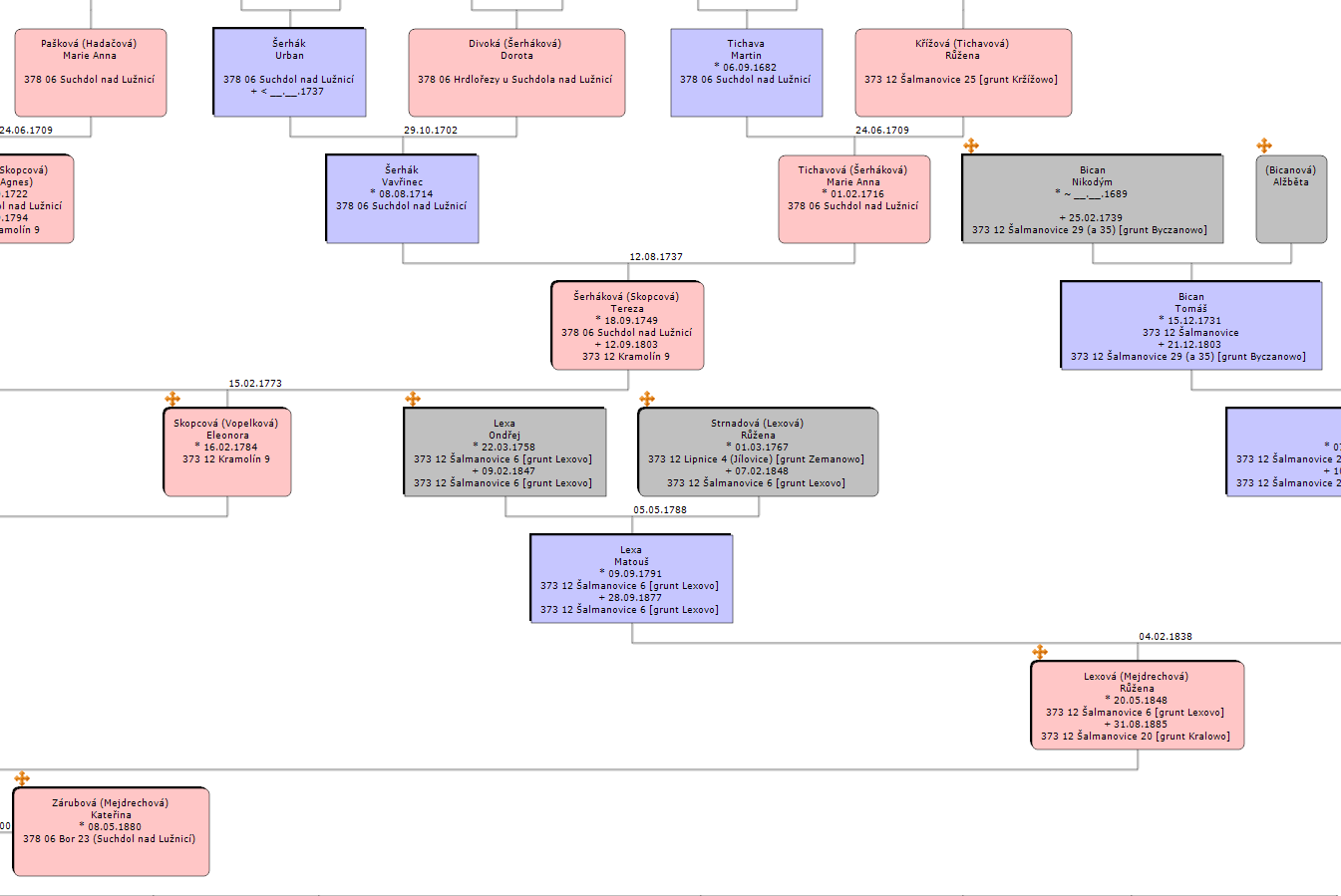 Connect collapsed relation · Issue #346 · Serg-Norseman/GEDKeeper · GitHub