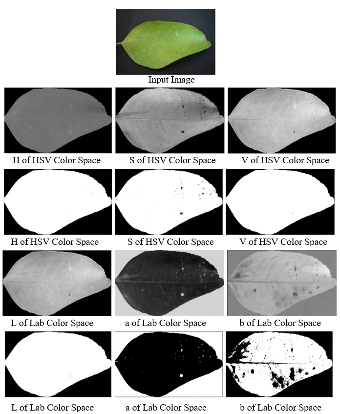 GitHub - Abhinavvenkatadri/Leaf-Classification-and-Disease-Segmentation ...