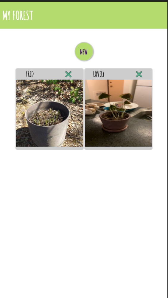 GitHub - root-directory/leaves