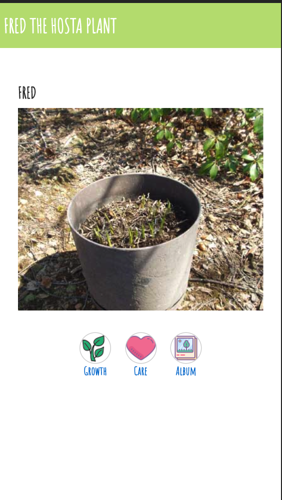 GitHub - root-directory/leaves