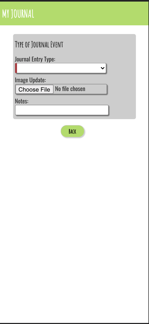 GitHub - root-directory/leaves