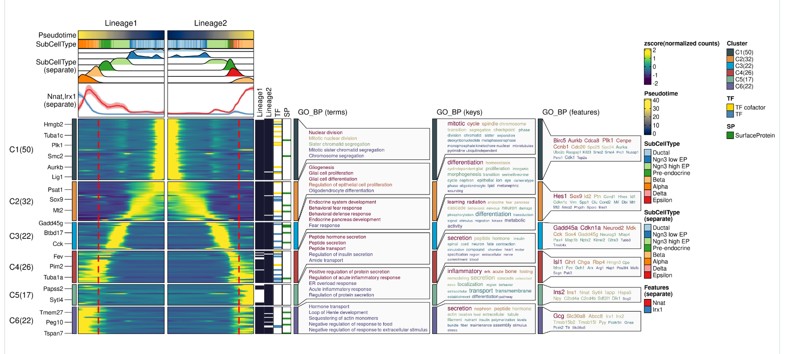 Dynamicheatmap Separate The Plot · Issue 143 · Zhanghao Njmuscp · Github