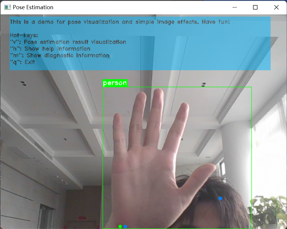 How To Add 2d Hand Key Point Detection In Webcam Api Demo[bug] · Issue 2377 · Open Mmlab Mmpose