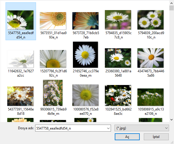 GitHub - helinozgur/Plant-Classification-With-Matlab
