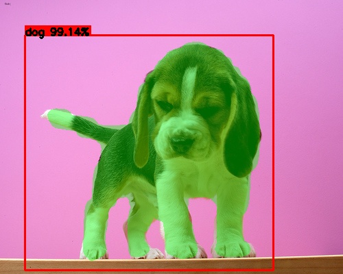 GitHub - harshatejas/cats_vs_dogs_instance_segmentation: Train cats vs ...