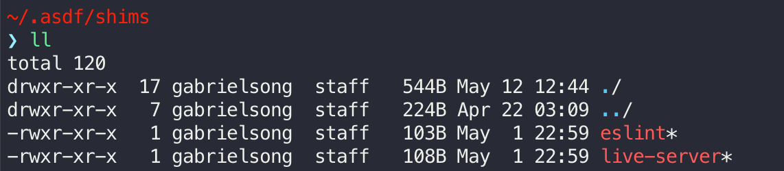 Updated Nodejs By Uninstallinstall Shims Are In The System But Do Not List As Modules · Issue 5233