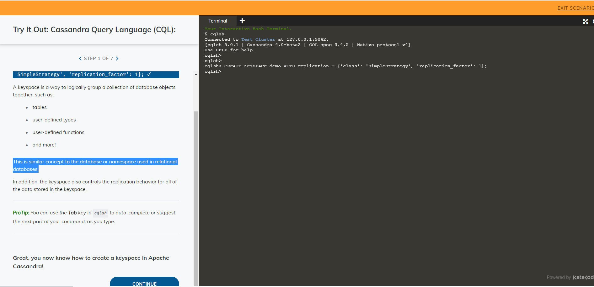 [HW] Pradnya Pethe · Issue #10 · datastaxdevs/workshop-introduction-to-nosql · GitHub