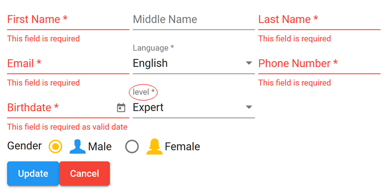 First Letter Of Level Should Be Uppercase For Consistency · Issue