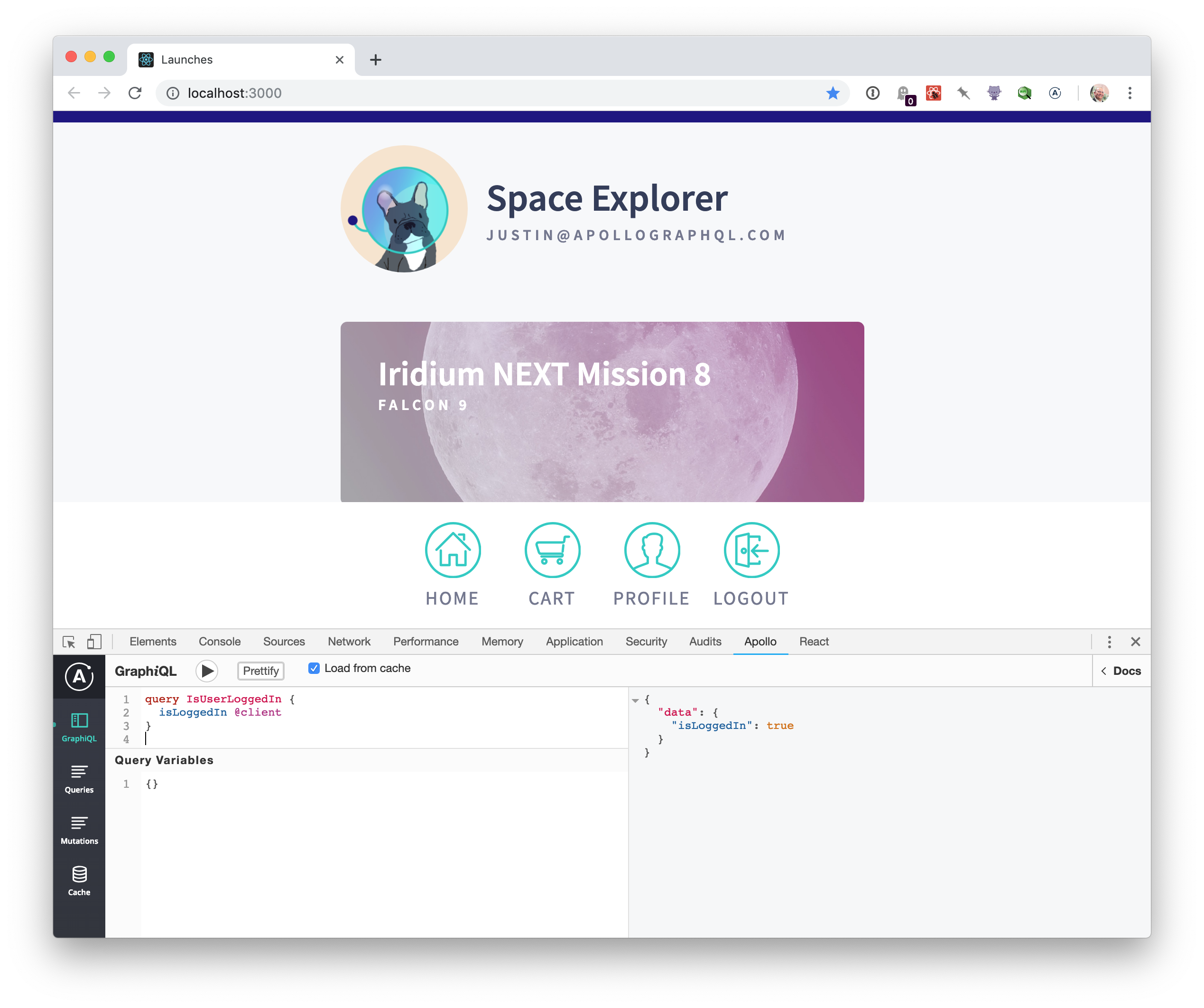 Can't query local cache · Issue #171 · apollographql/apollo-client-devtools · GitHub