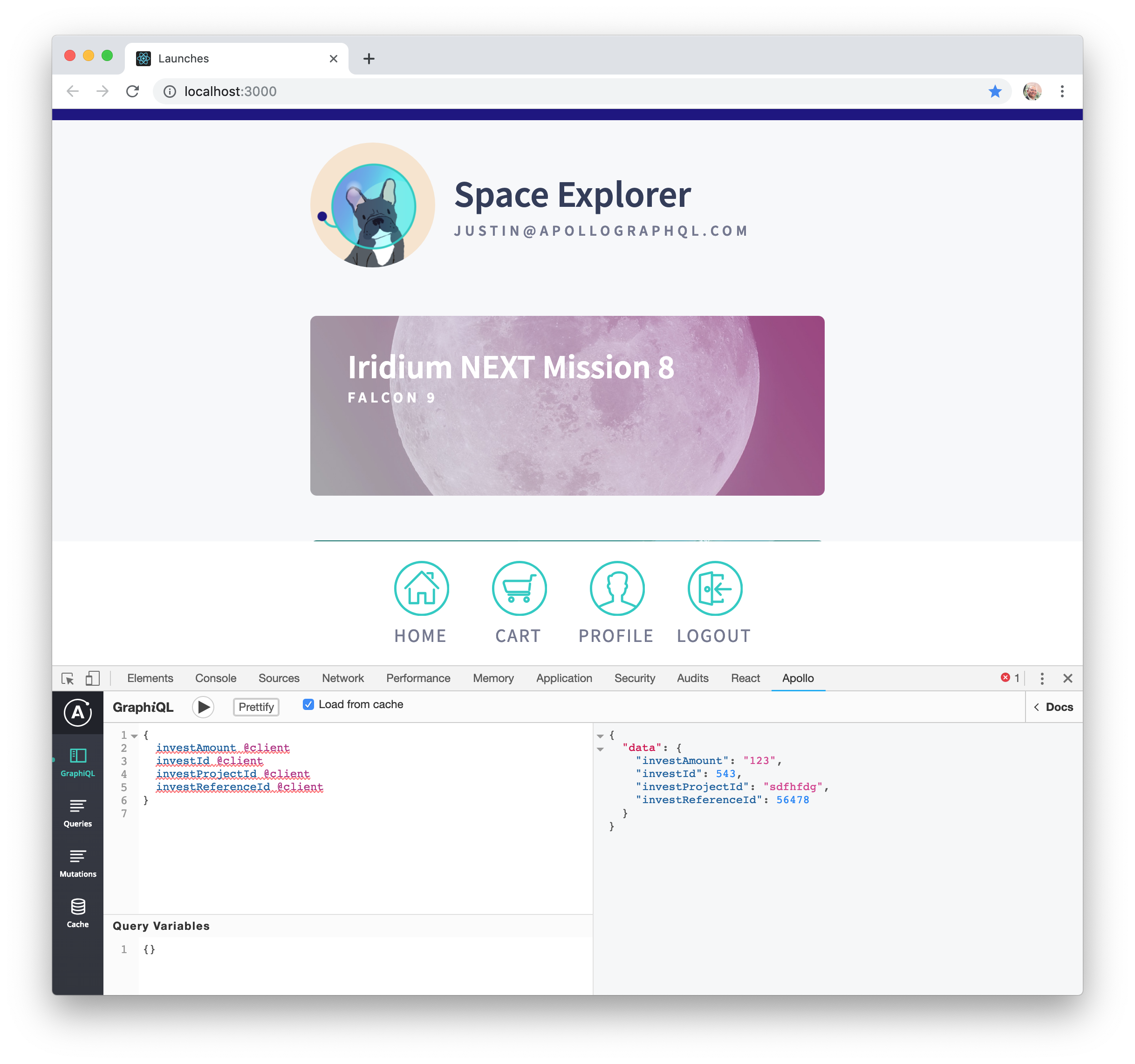 Can't query local cache · Issue #171 · apollographql/apollo-client-devtools · GitHub