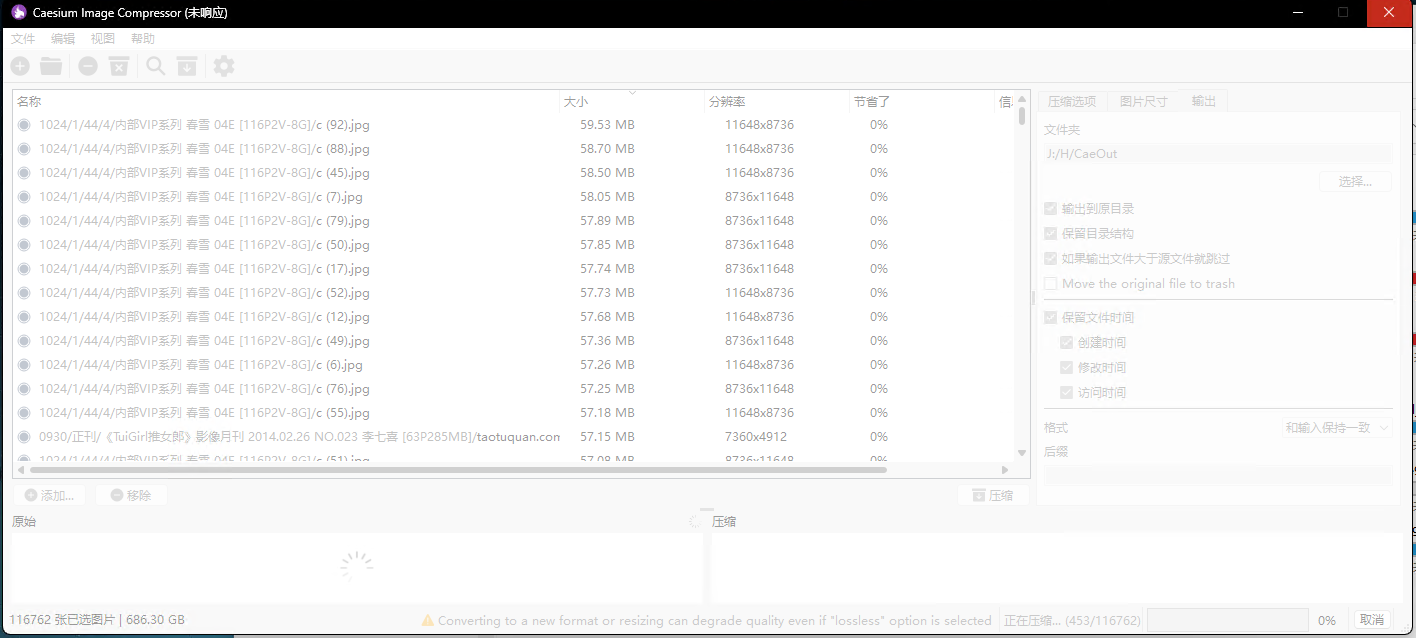 Crash when compressing large number of pictures · Issue #239 · Lymphatus/caesium-image ...