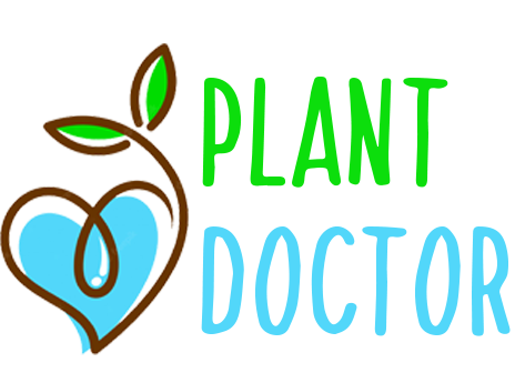 GitHub - V15go/Plant-Doctor: An Android application, Automatic ...