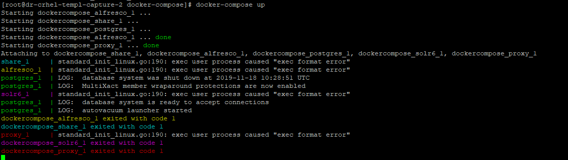 Docker Compose Exec Format Error Issue · Issue 122 · Vegawidgetaltair · Github 