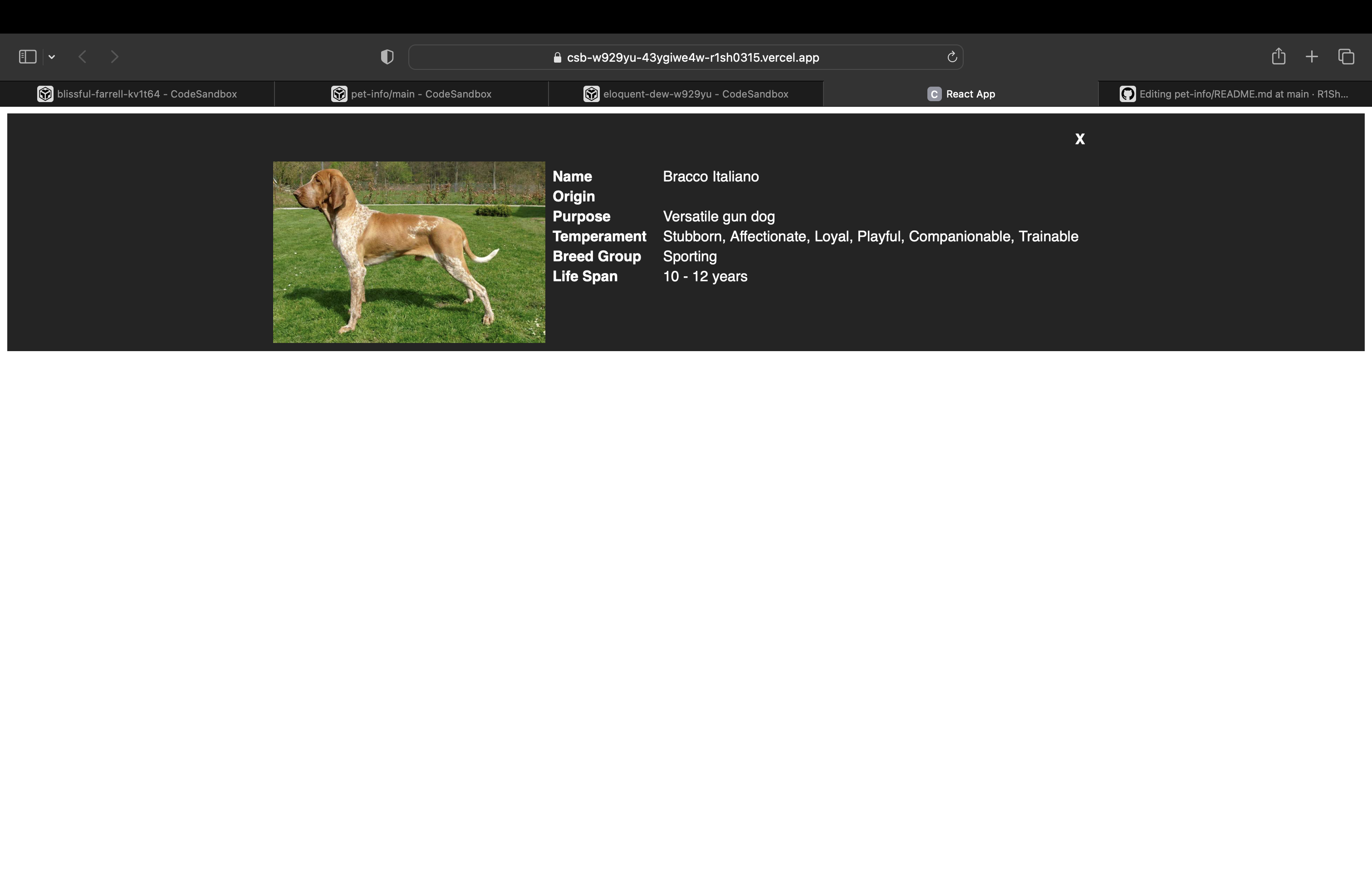 GitHub - R1Sh0315/pet-info: Created with CodeSandbox