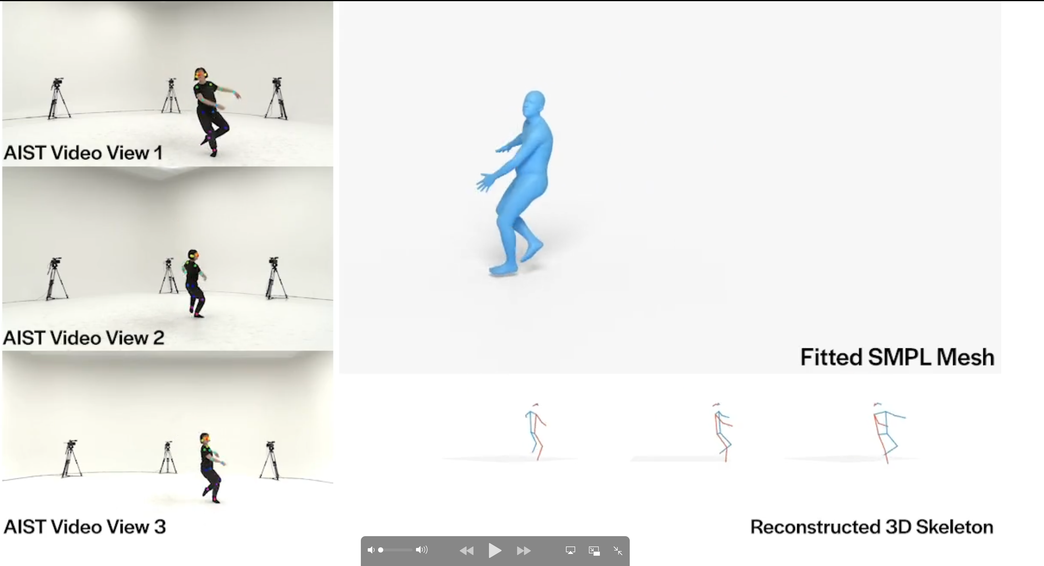 Problem of rendering SMPL mesh · Issue #22 · google/aistplusplus_api · GitHub