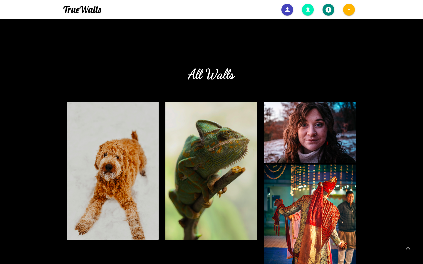 GitHub - pythonKiller990/TrueWalls: A PHP Responsive Gallery