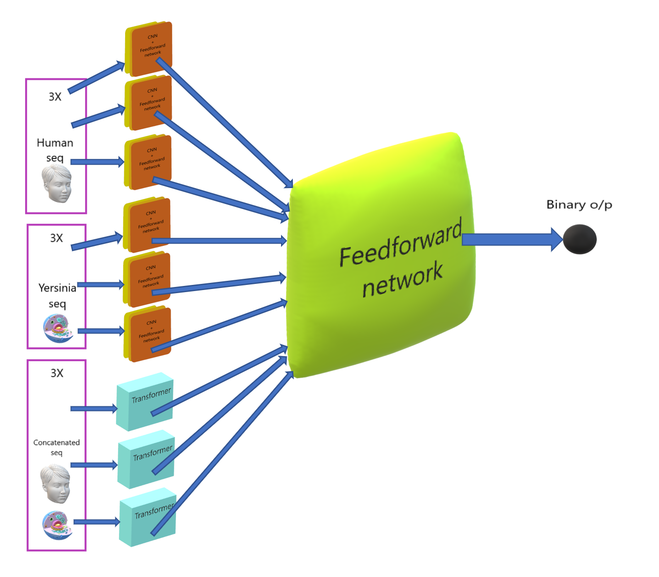 GitHub - nikhil-mathews/MastersPr_Predicting-Human-Pathogen-PPIs-using-Natural-Language ...