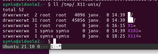 No access to display (the one generated by x11docker) with incrontab · Issue #393 · mviereck ...