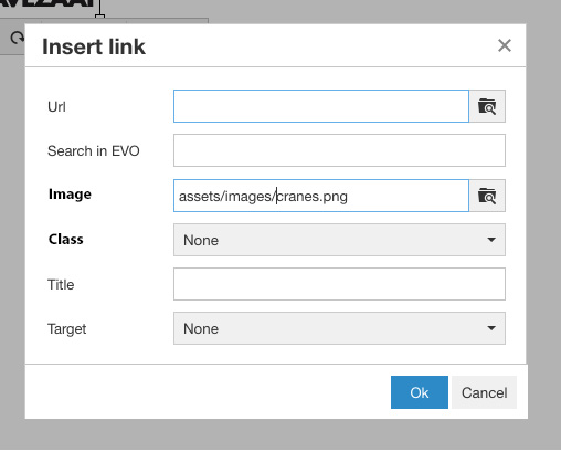 TinyMCE ability to add class to hyperlink · Issue #512 · evolution-cms/evolution · GitHub