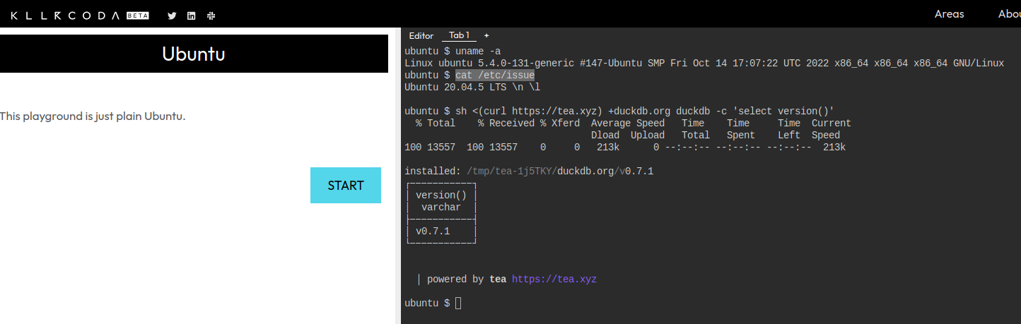 :duck: Bad version for duckdb :lady_beetle: · Issue #787 · pkgxdev/pantry · GitHub