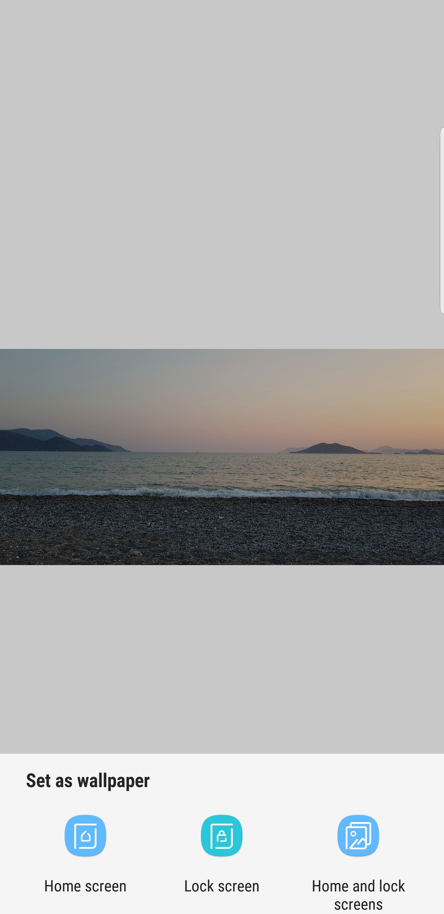 Set as Wallpaper Intent · Issue #59483 · flutter/flutter · GitHub