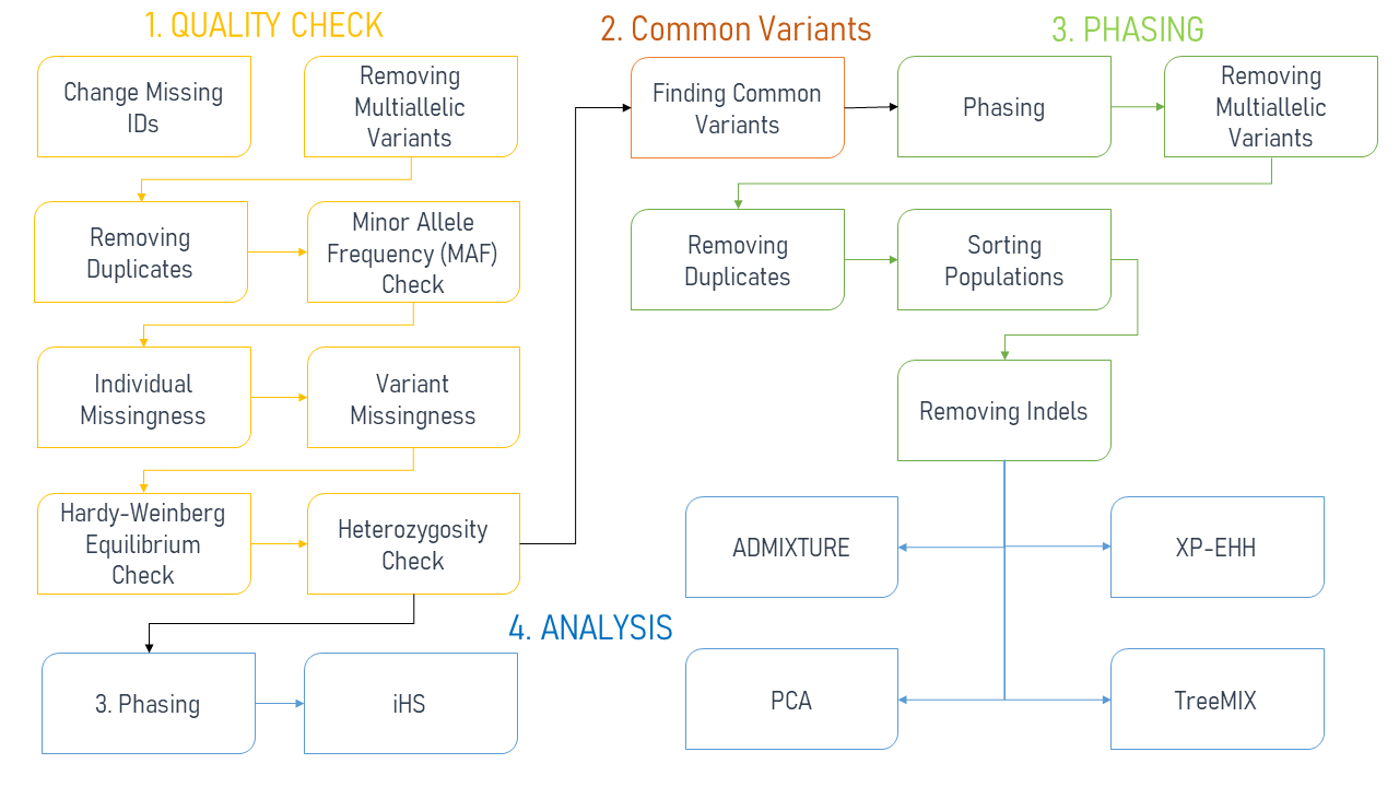 GitHub - vis7219/PopGenAnalysis: This repository contains the pipeline script for Population ...