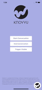 rn-sestek-webchat - Codesandbox